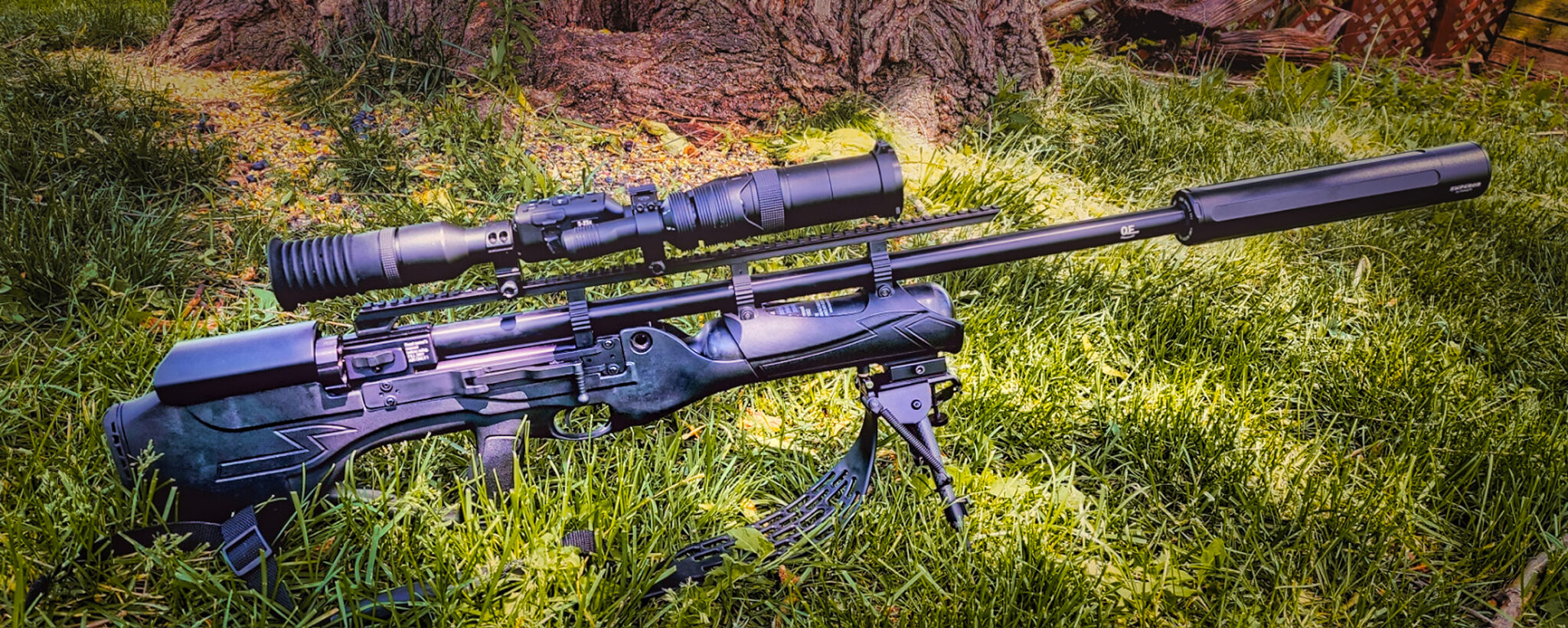 The Basics of Airgun Hunting: An Introductory Guide – North American ...